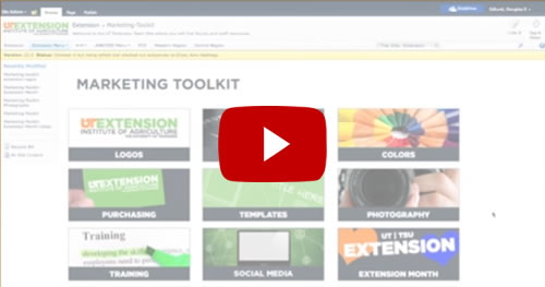 Increasing Visibility of UT Extension | Extension Strategic Plan